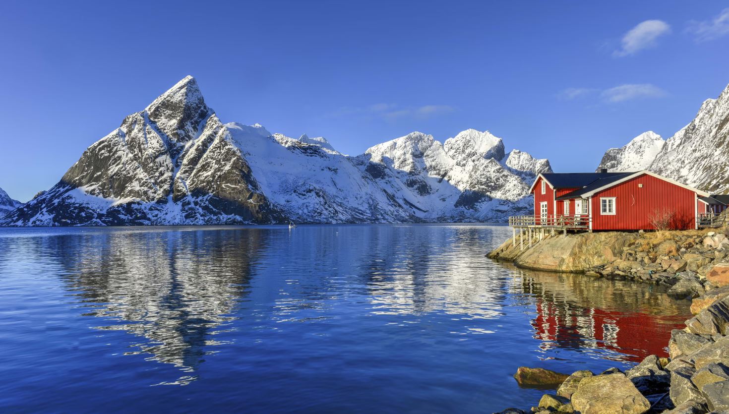 Cruise Holidays - Mediterranean, Northern Europe, Caribbean etc.